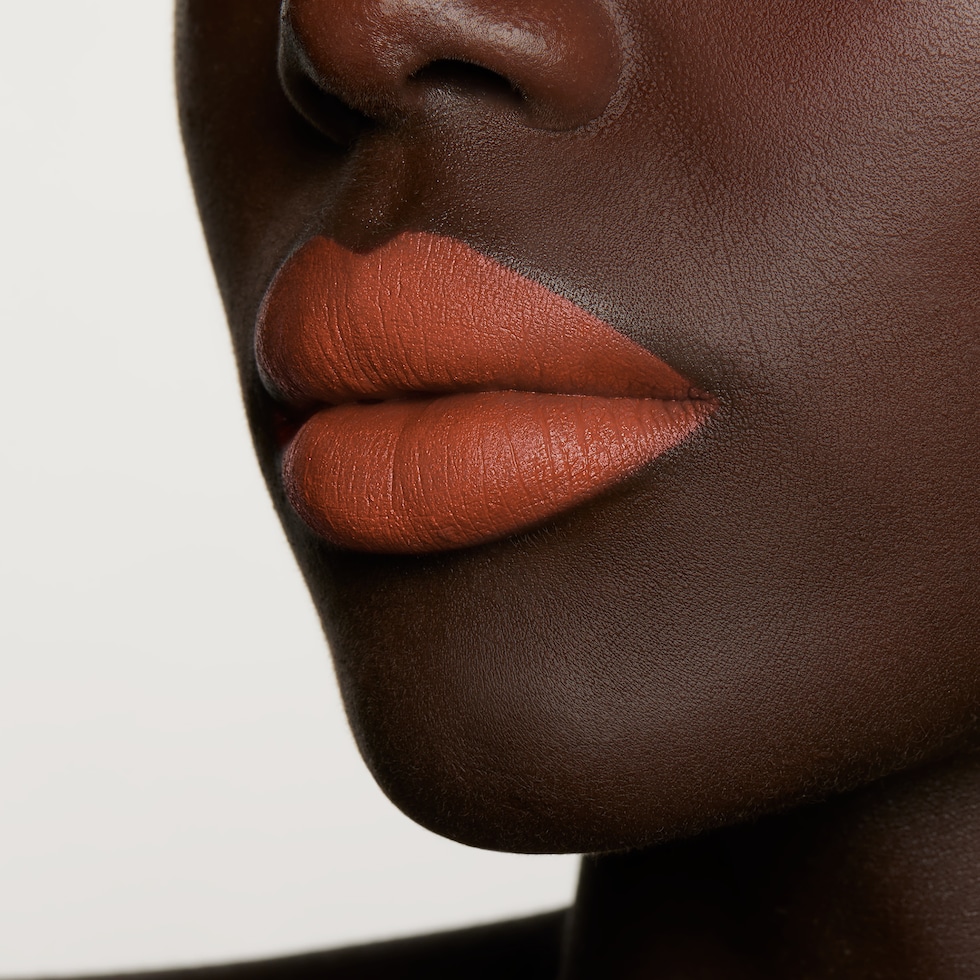 312弗朗西斯焰火古驰倾色绒雾唇膏312弗朗西斯焰火 -古驰GUCCI中国官方网站